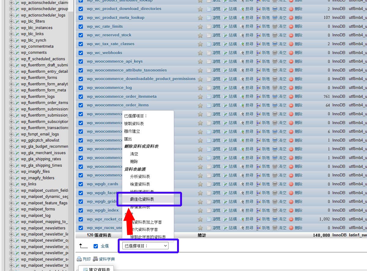 一鍵加速網站-最佳化資料庫